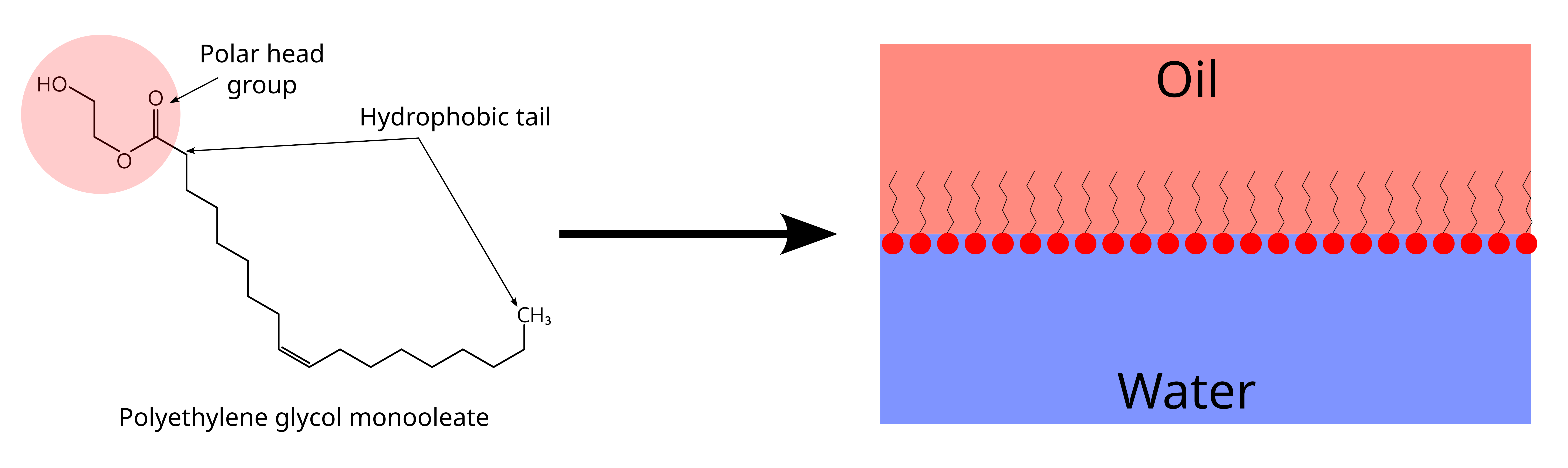 Understanding Emulsions II: Mayonnaise – The Science of Food