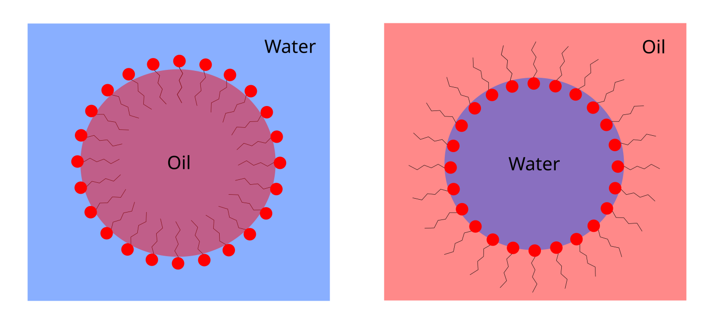 Understanding Emulsions II: Mayonnaise – The Science of Food